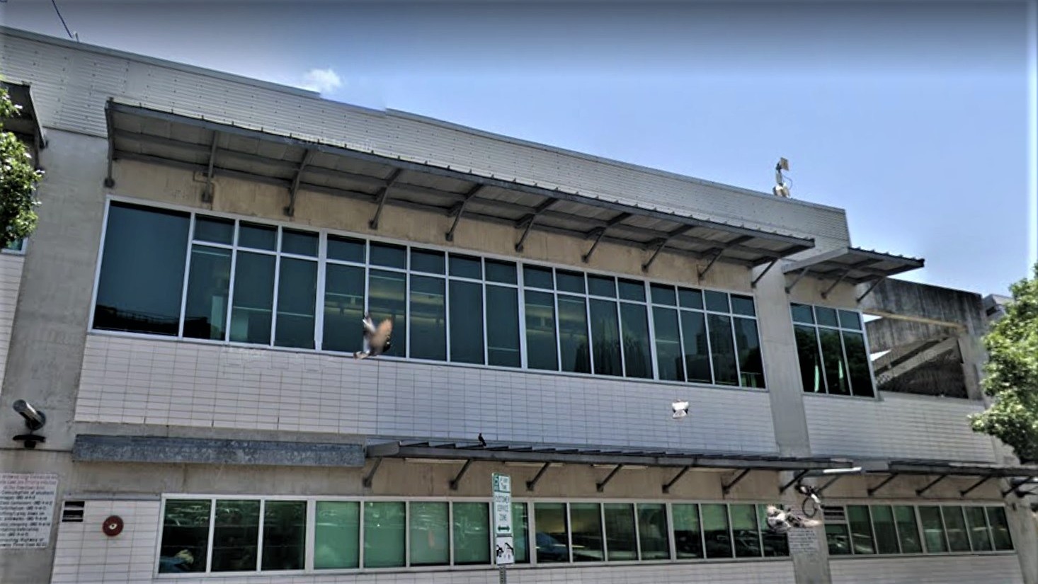 Front Steps | Austin, TX