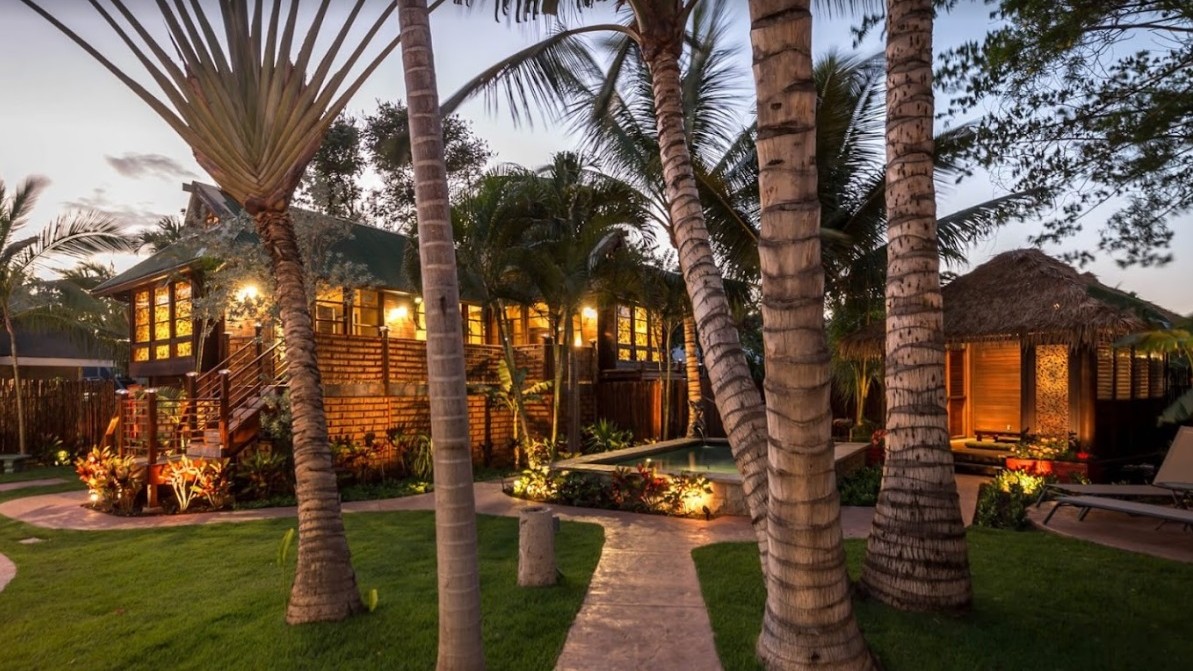Maui Recovery | Hawaii