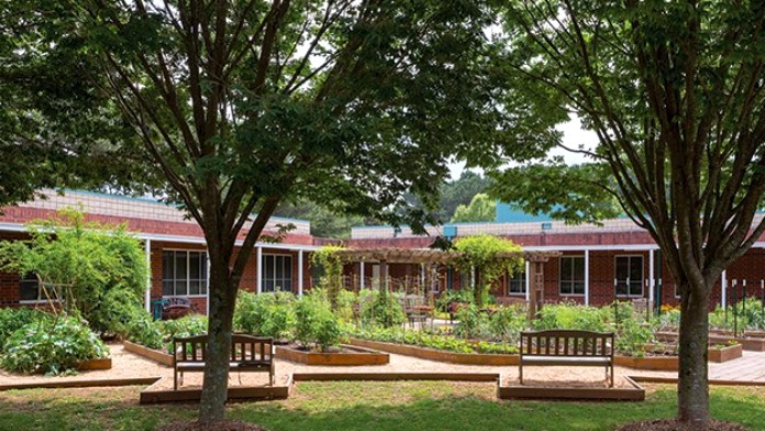 Healing Transitions | Raleigh, NC